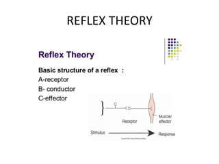 Theories of Motor Control | PPTX