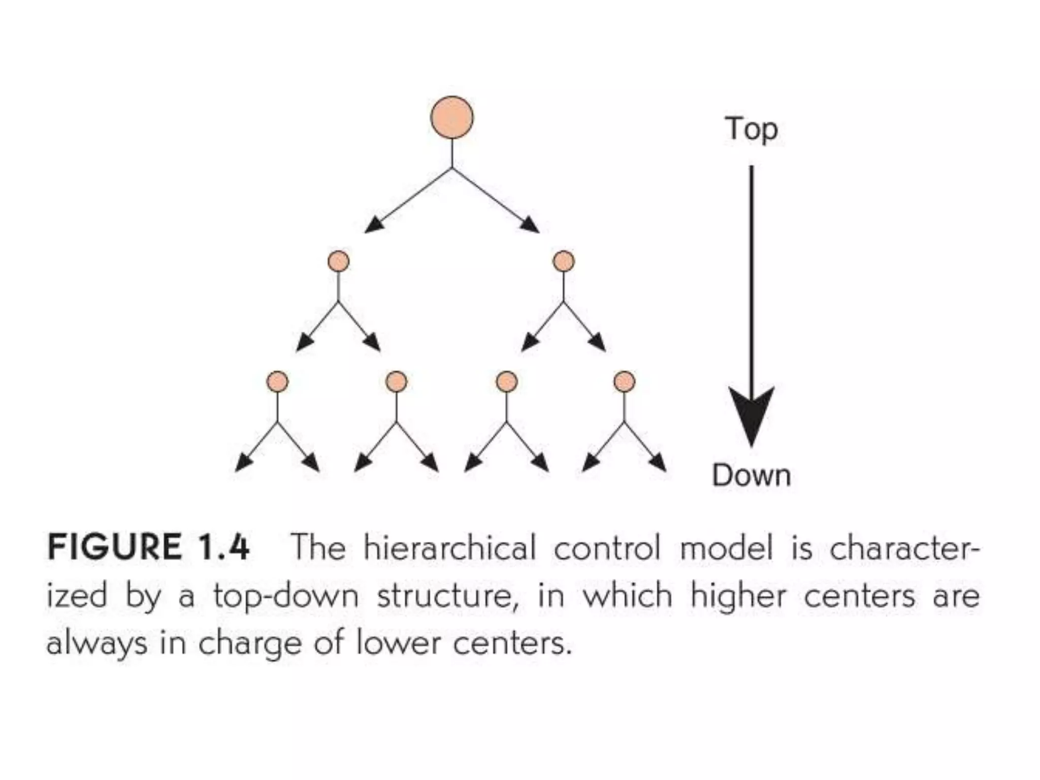 Theories of motor control | PPTX