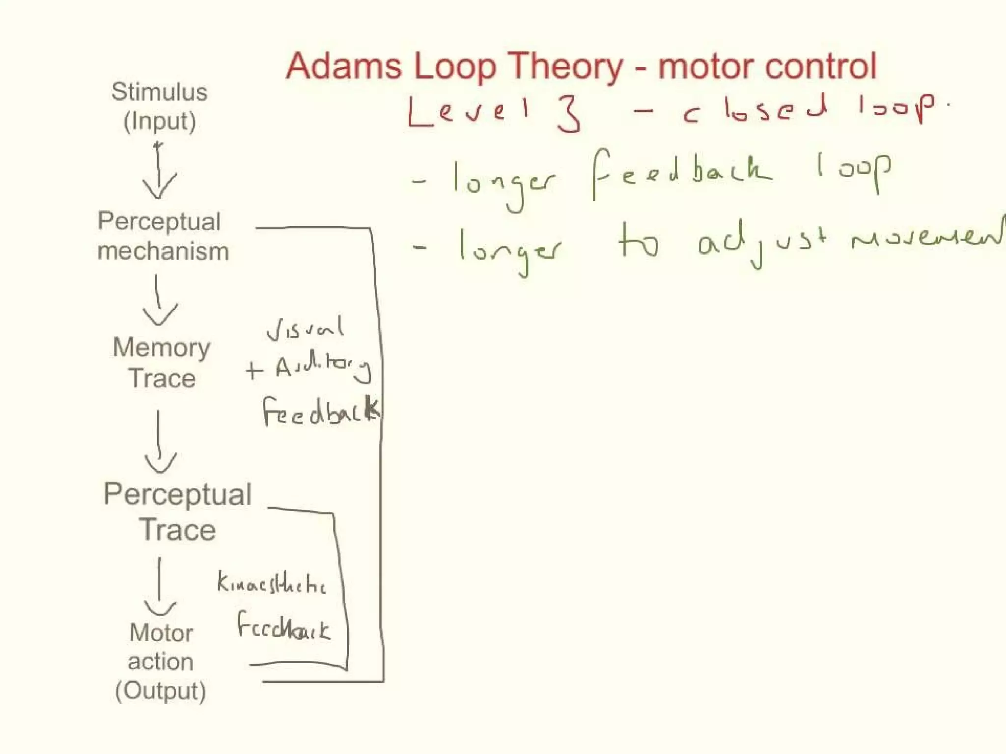 Theories of motor learning | PPT