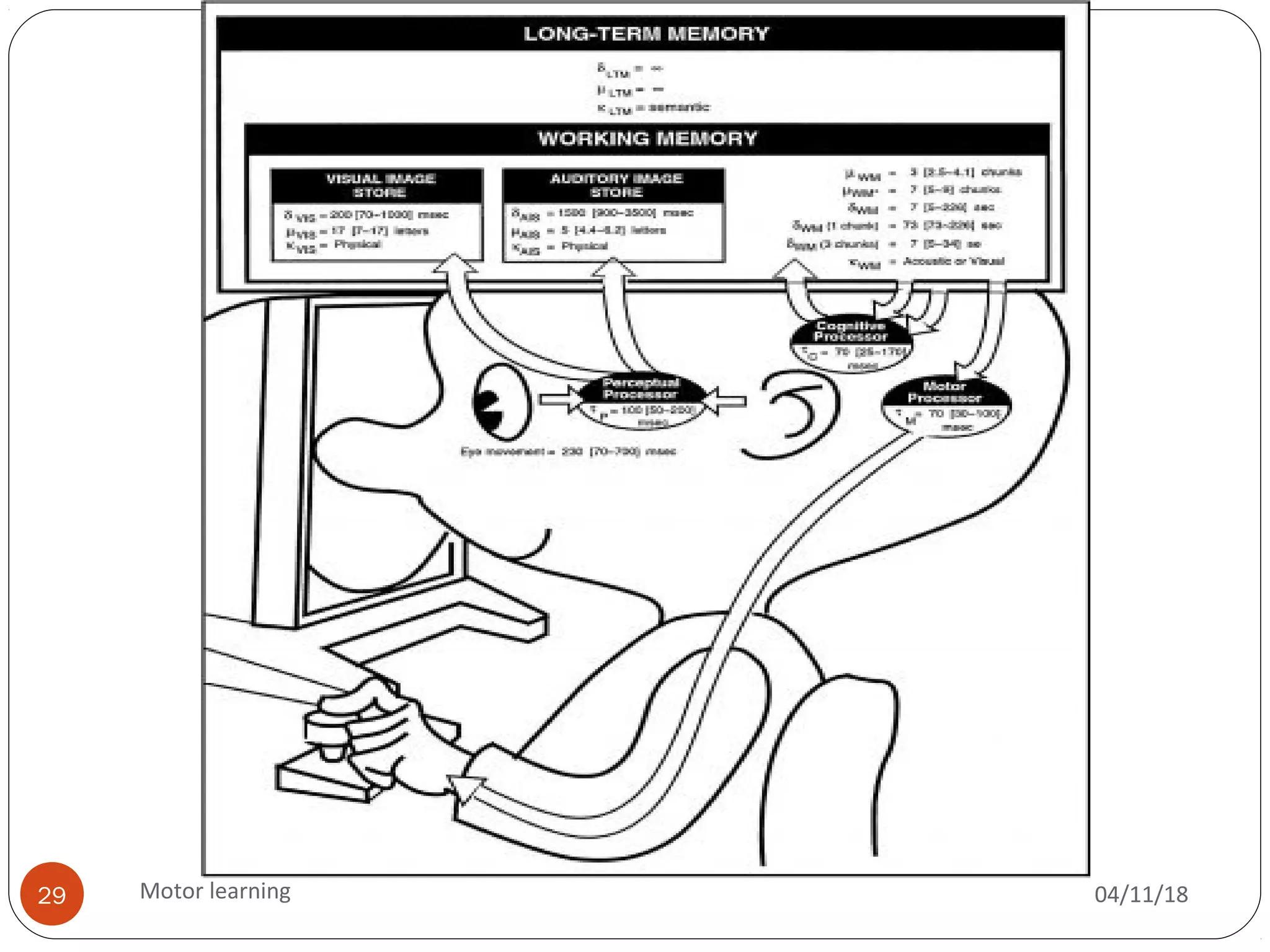 Theories of motor learning | PPT