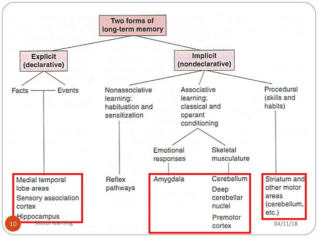 Theories of motor learning | PPT | Physical Therapy | Wellness
