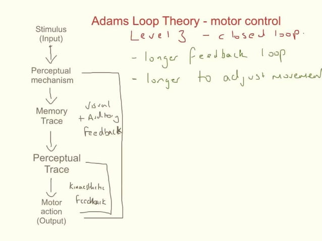 Theories of motor learning | PPT | Physical Therapy | Wellness