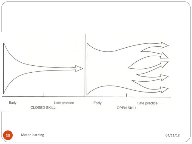 Theories of motor learning | PPT | Physical Therapy | Wellness