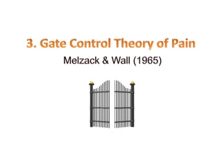 Gate Control Theory Melzack And Wall 1965