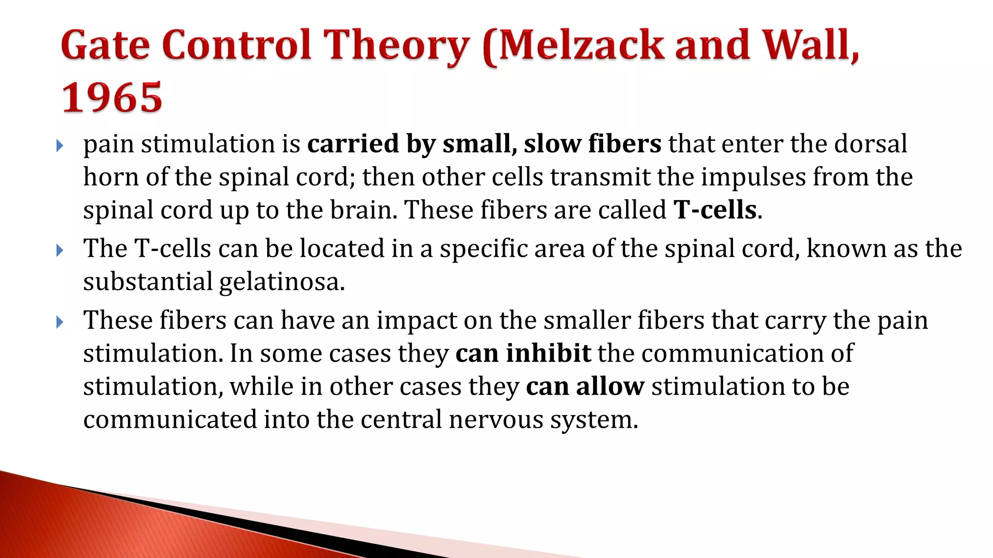 Theories of pain | PDF