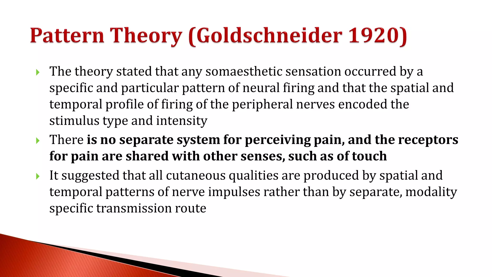 Theories of pain | PDF
