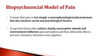 Theories of pain | PDF