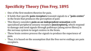 Theories of pain | PDF