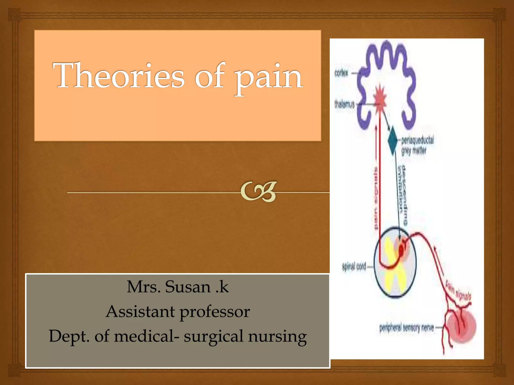 Theories of pain | PPTX