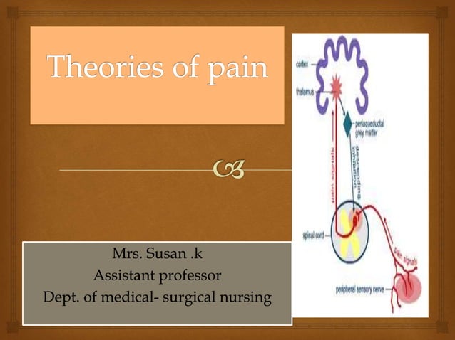 Theories of pain | PPTX | Physical Therapy | Wellness