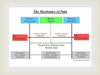 Theories of pain | PPTX