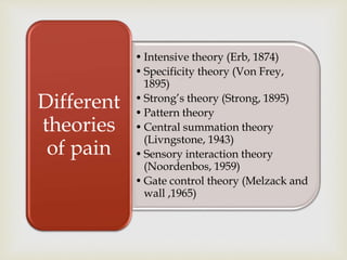 Theories of pain | PPTX