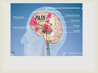Theories of pain | PPTX