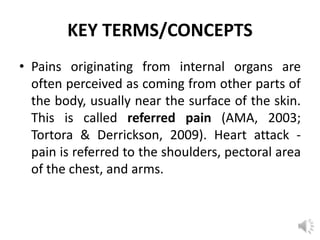Dr. K Jayanthi Rani - Ethiraj College For Women - THEORIES OF PAIN.pptx
