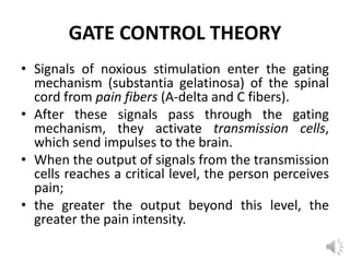 Dr. K Jayanthi Rani - Ethiraj College For Women - THEORIES OF PAIN.pptx
