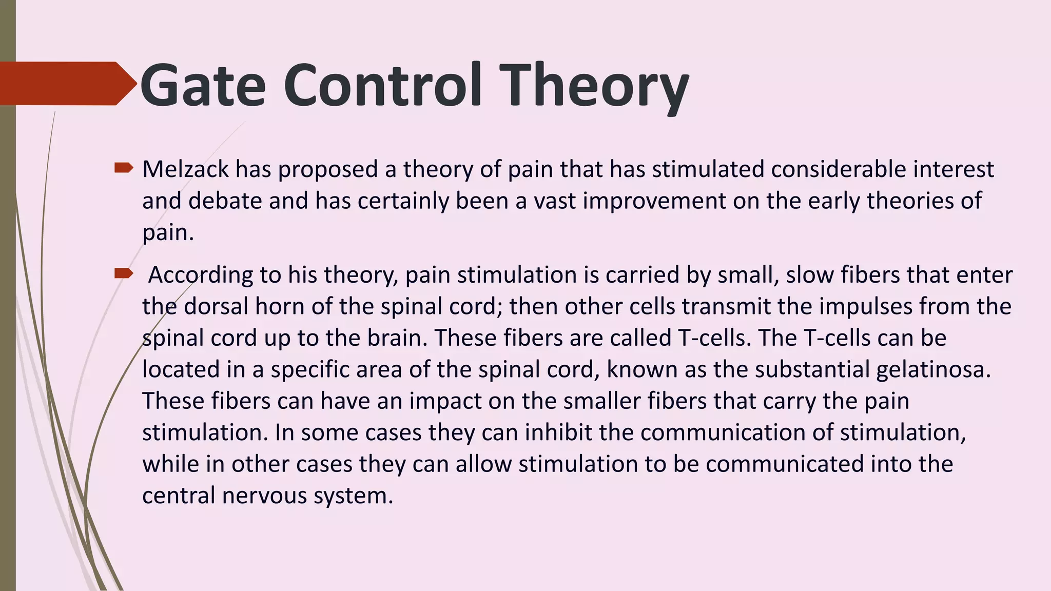 Theories of pain.pptx