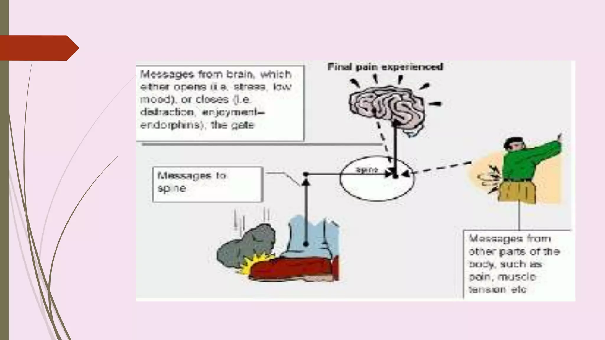 Theories of pain.pptx