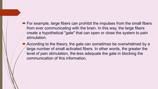 Theories of pain.pptx