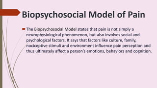 Theories of pain.pptx