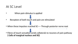 THEORIES OF PAIN - Pain gate theory , pain gate mechanism | PPTX