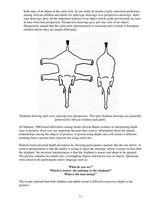 Psychology theories_of_perception.pdf notes | PDF