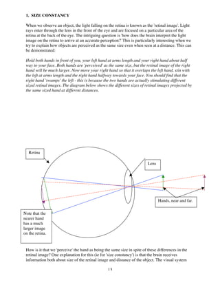 Psychology theories_of_perception.pdf notes | PDF