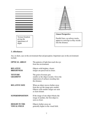 Psychology theories_of_perception.pdf notes | PDF