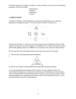 Psychology theories_of_perception.pdf notes | PDF