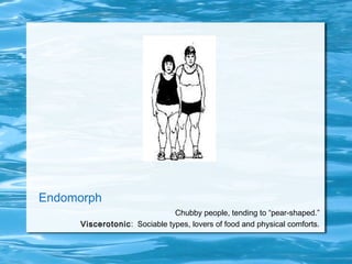 Theories of personality | PPT