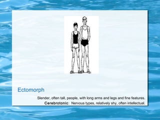 Theories of personality | PPT