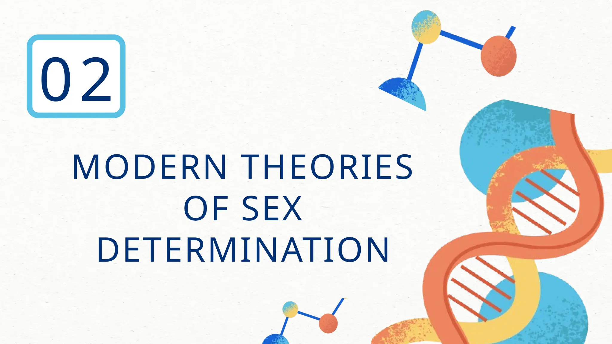 Botany Theories Of Sex Determination Pptx