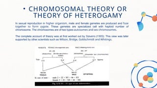 BOTANY THEORIES OF SEX DETERMINATION.pptx