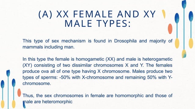 BOTANY THEORIES OF SEX DETERMINATION.pptx