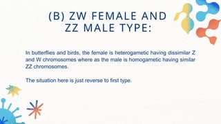 BOTANY THEORIES OF SEX DETERMINATION.pptx