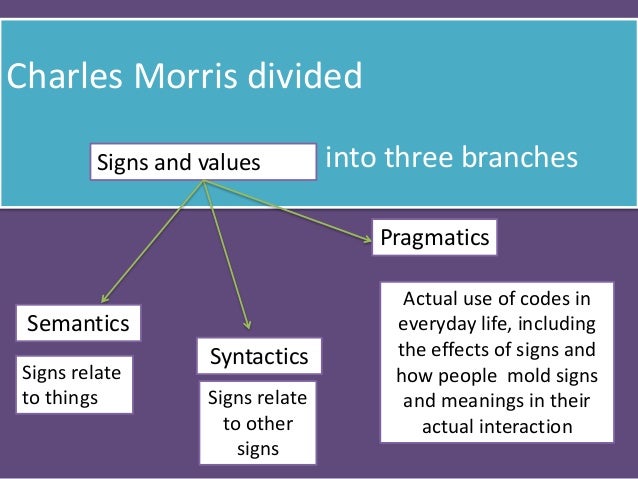 Theories of signs and language