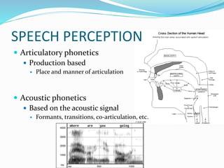 Theories of Speech Perception | PPTX