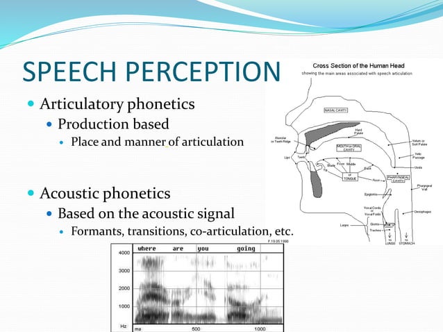 Theories of Speech Perception | PPTX | Digital Audio | Computer ...