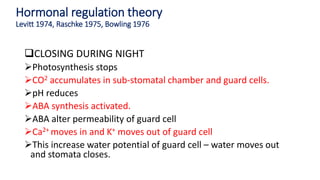 Theories of stomatal movement | PPTX