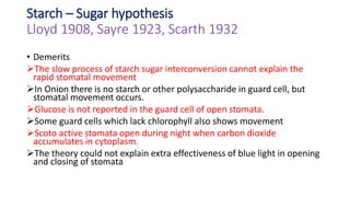 Theories of stomatal movement | PPTX
