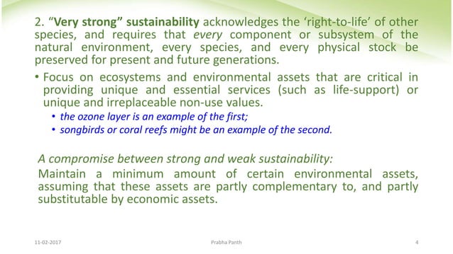 Theories of strong sustainability | PPSX