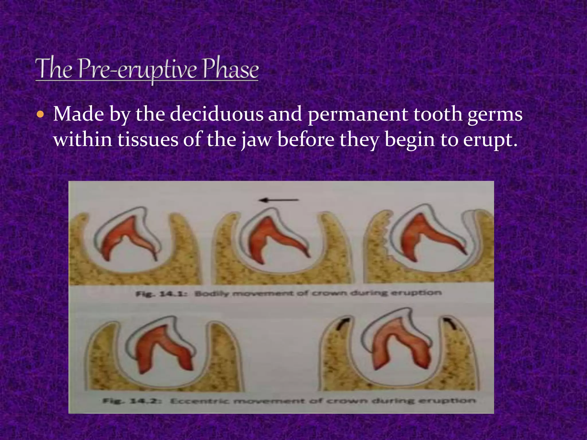 THEORIES OF TOOTH ERUPTION | PPTX