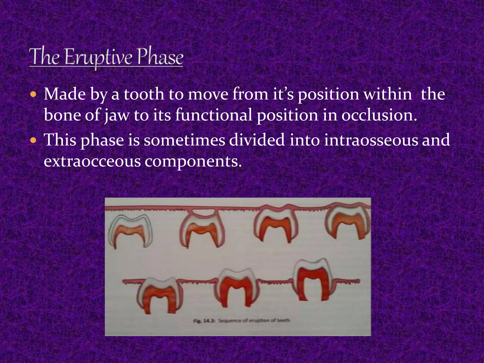 THEORIES OF TOOTH ERUPTION | PPTX