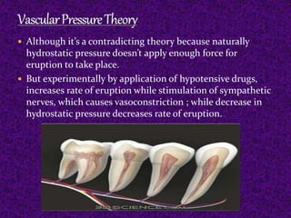THEORIES OF TOOTH ERUPTION | PPTX