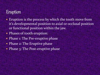 THEORIES OF TOOTH ERUPTION | PPTX
