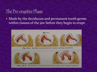 THEORIES OF TOOTH ERUPTION | PPTX