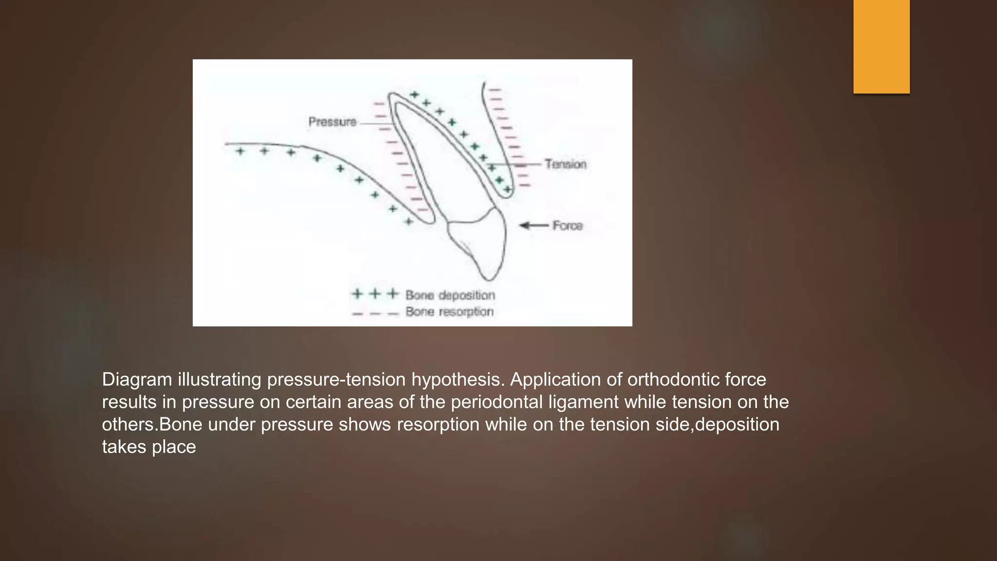 THEORIES OF TOOTH MOVEMENT.pptx