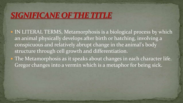 Metamorphosis- Franz Kafka Theories of translation | PPTX