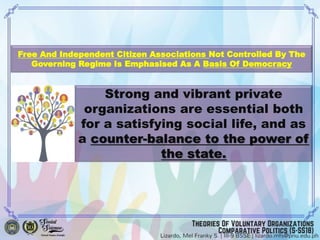 Theories of voluntary organizations | PPT