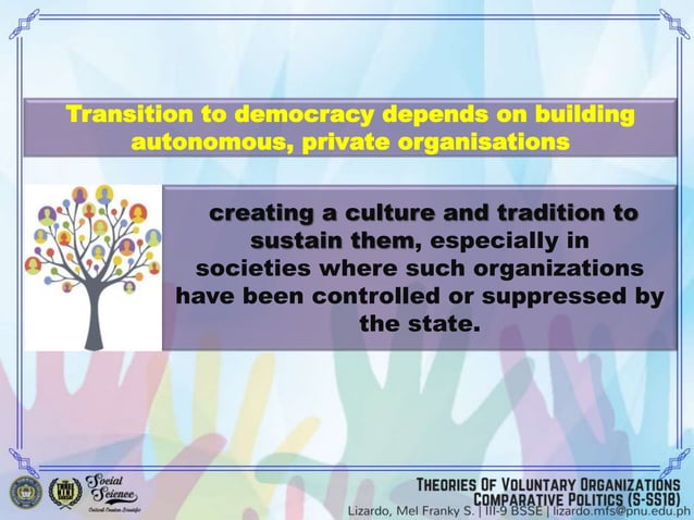 Theories of voluntary organizations | PPT