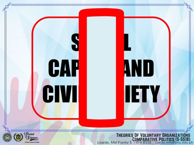 Theories of voluntary organizations | PPT